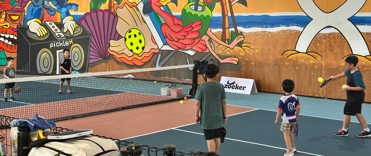 5 Safety Hazards During Pickleball Lessons – Pickle361